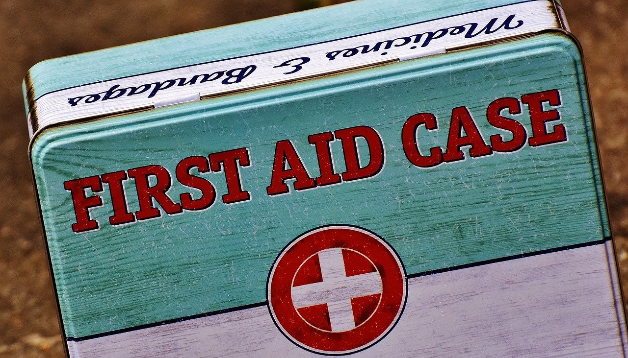 What to Do If Your Dog Gets Injured: A Guide to Dog First Aid ...